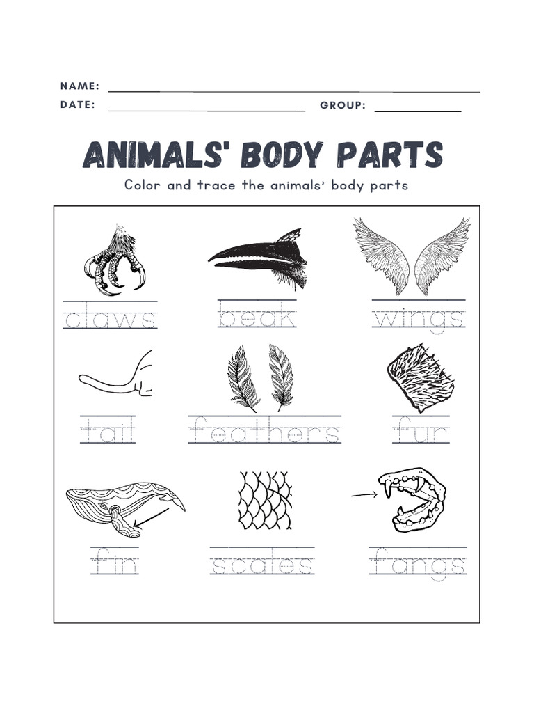 animals body parts | PDF