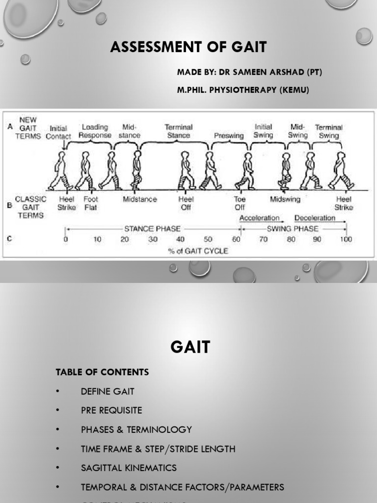 Gait | PDF | Anatomical Terms Of Motion | Foot