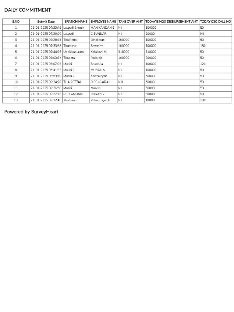 DAILY COMMITMENT | PDF