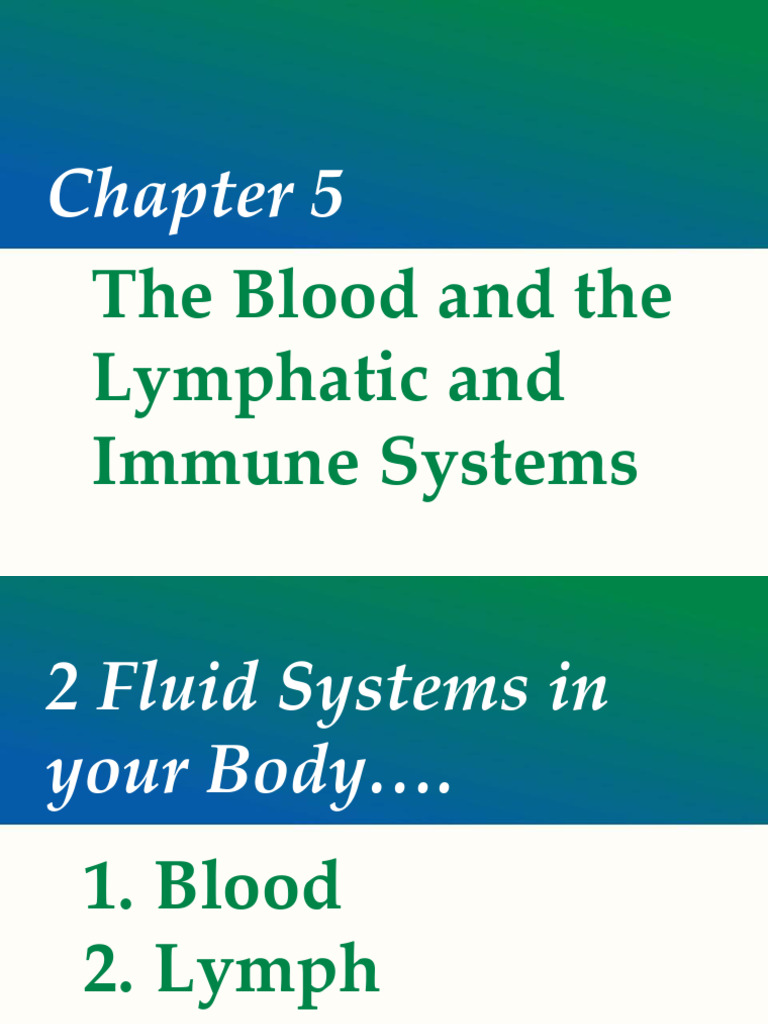 Ch. 5 Revised Blood, Lymphatic, & Immune Systems Structure & Function ...