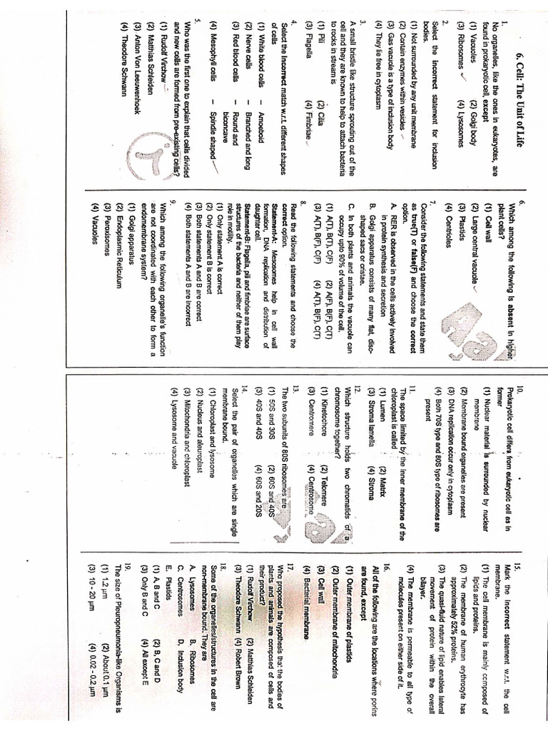 Cell The Unit of Life Assignment 2 | PDF