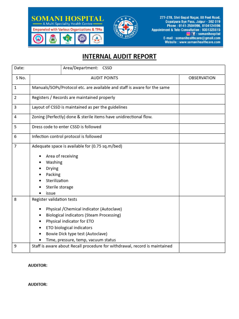 CSSD Internal Audit Report Summary | PDF