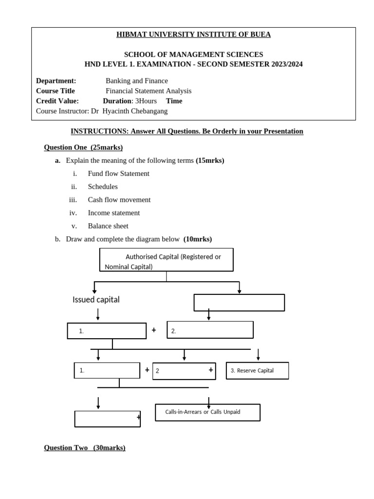 FINANCIAL - Statement Analysis - EXAM - 2024 - HIBMAT DLA | PDF