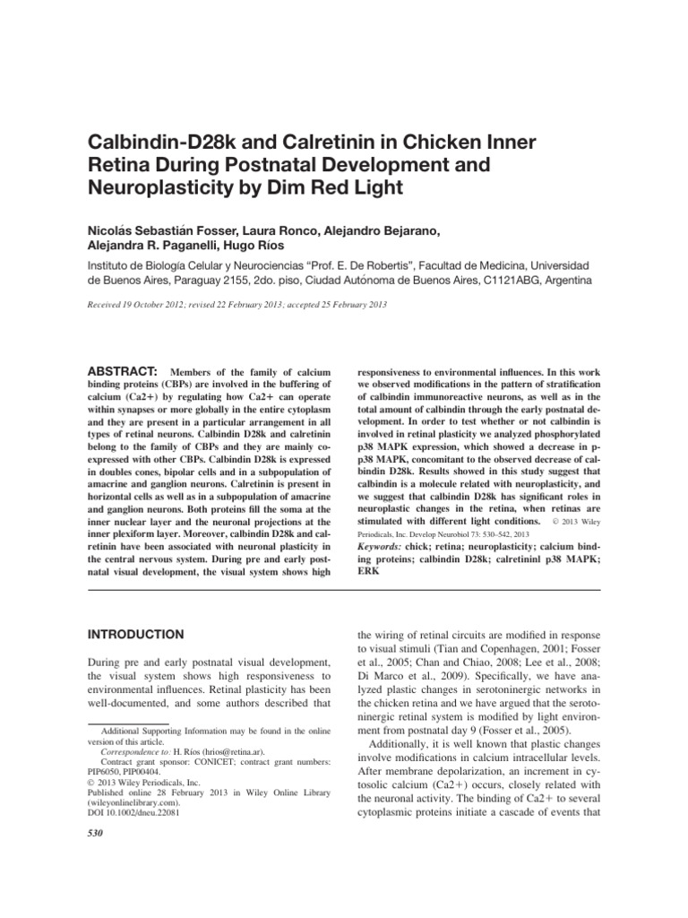 Retina IOD Fig2-I Dneu.22081 | PDF | Retina | Synapse