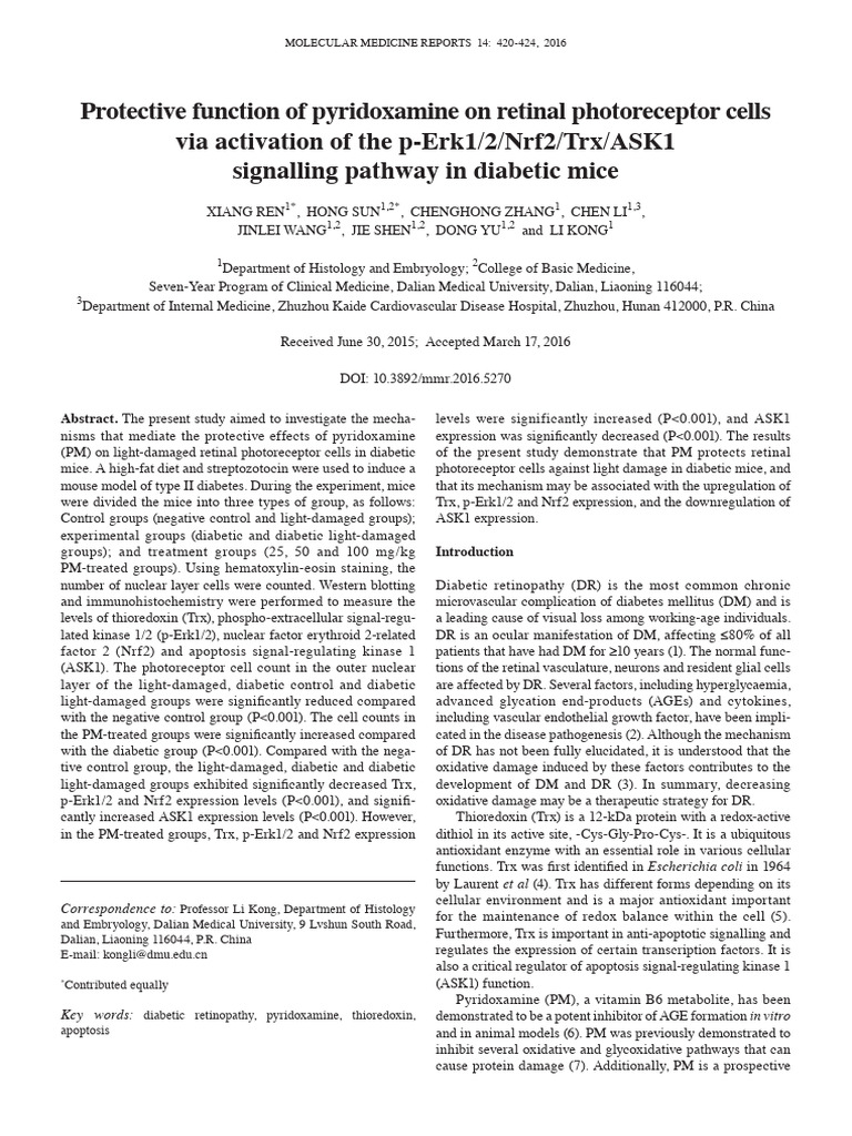 Retina IOD Fig4 MMR 14 1 420 PDF | PDF | Retina | Clinical Medicine