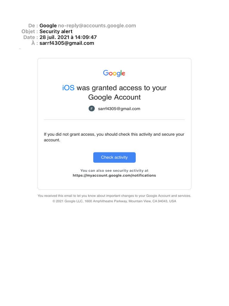 Security Alert | PDF