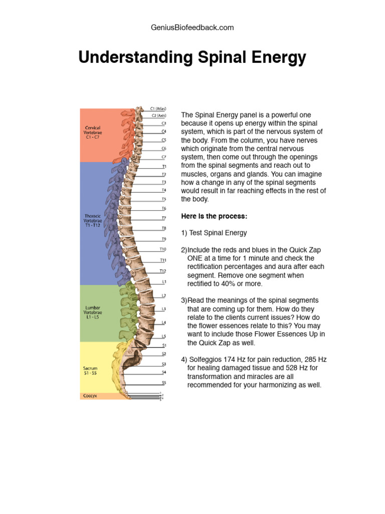 Spinal Energy Genius Balancing | PDF | Thorax | Gastrointestinal Tract