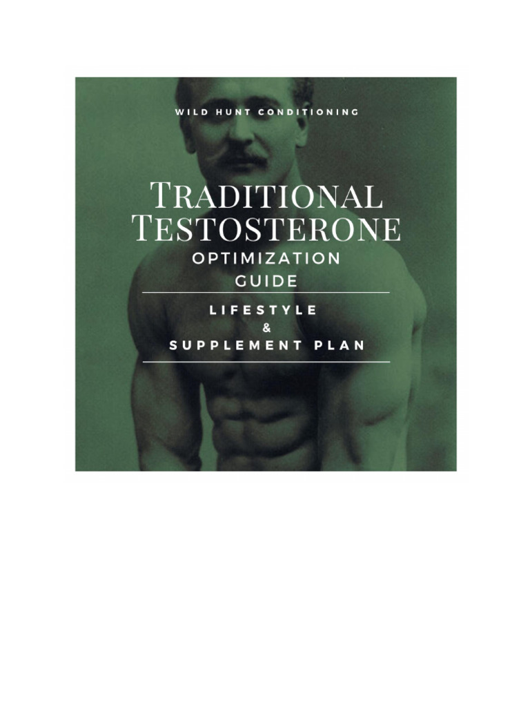 Traditional Testosterone Optimization Lifestyle & Supplement Plan | PDF ...
