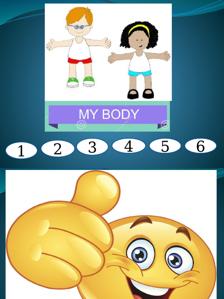 Y1 Body Parts Function | PDF