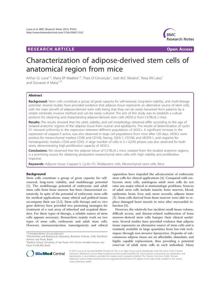 Characterization of Adipose-Derived Stem Cells of Anatomical Region From Mice | PDF | Stem Cell ...