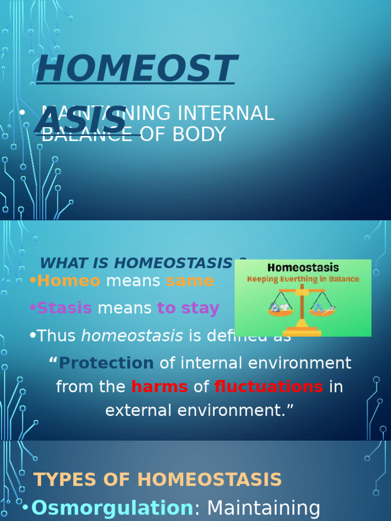 Understanding Homeostasis Basics | PDF