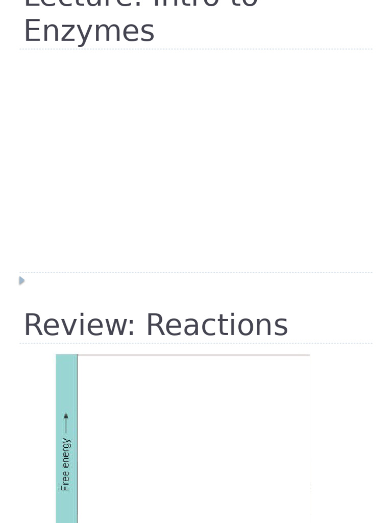 Enzymes Lecture | PDF