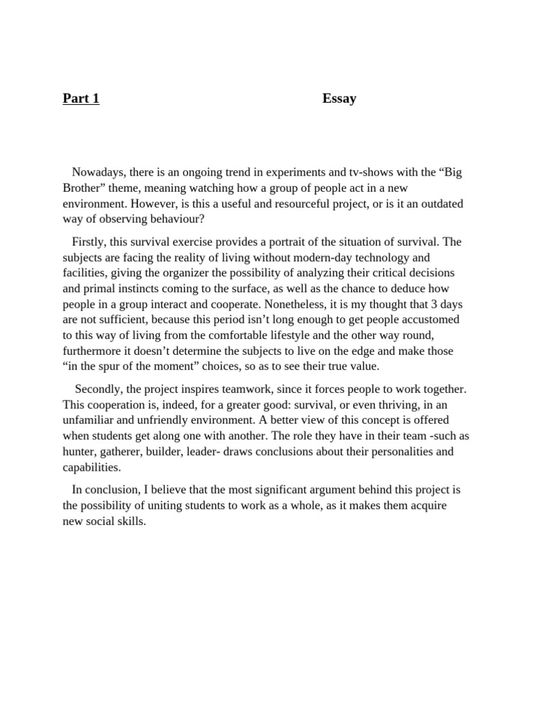 Essay | PDF