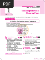Class 12 Biology Competency Based Question Bank 5 Molecular Basis of ...