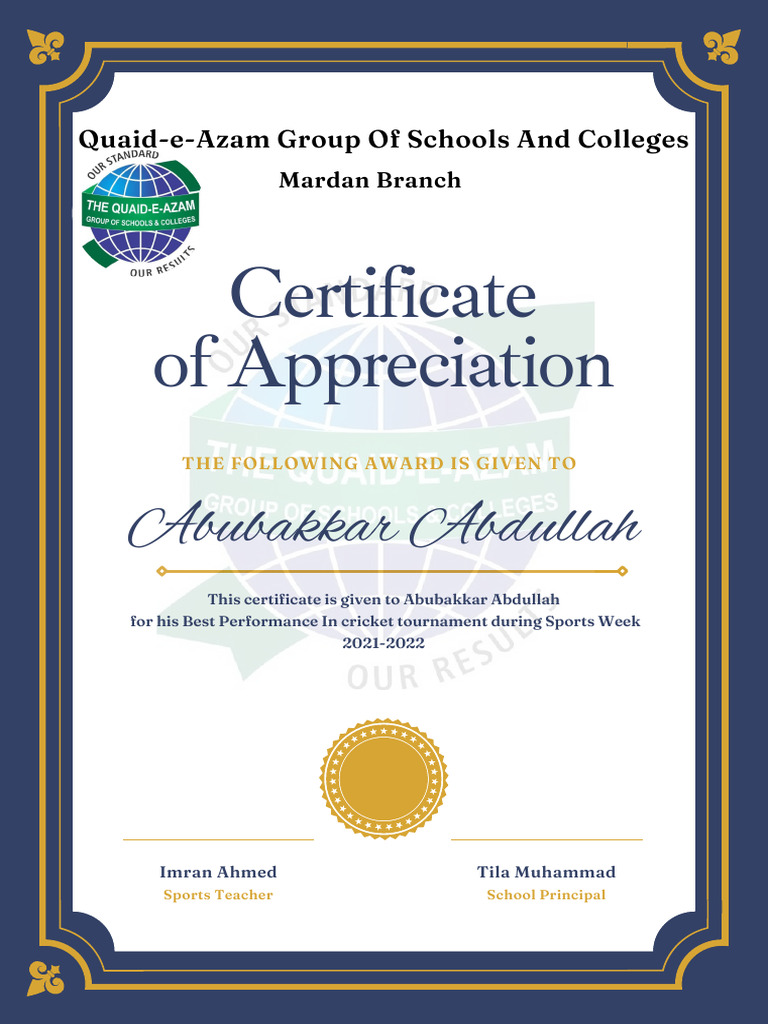 Cricket Performance Award | PDF