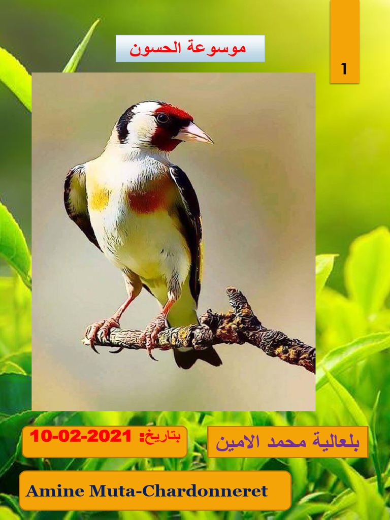 Gfpbmkyfmkyf - PDFX Amz Content Sha256 UNSIGNED PAYLOAD&X Amz Algorithm ...