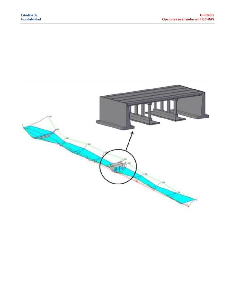 Unidad 5. Opciones Avanzadas en Hec-Ras | PDF | Flujo | Simulación