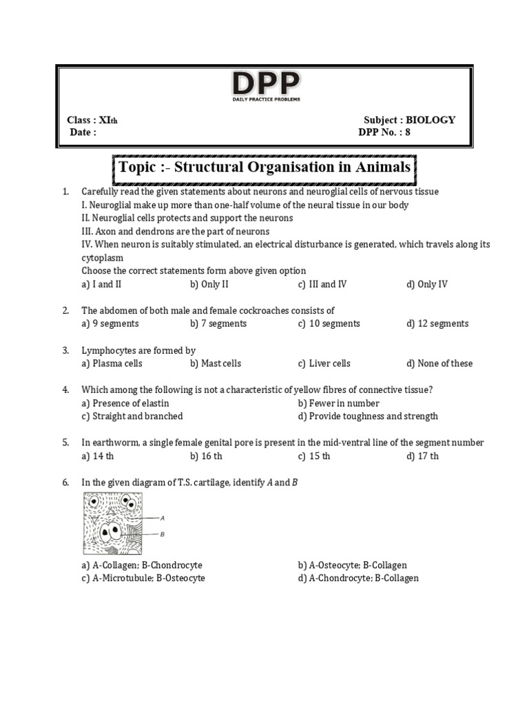 dpp-8 (1) | PDF | Muscle | Tissue (Biology)