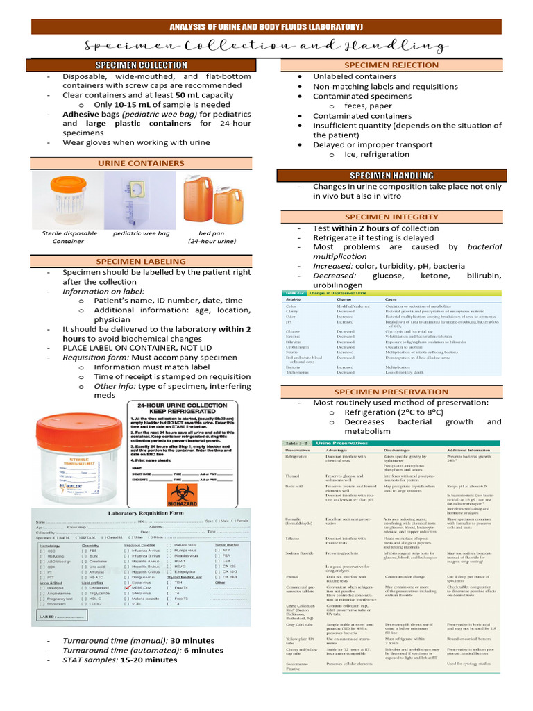 Laboratory Lesson 2. Specimen Collection and Handling | PDF | Urine ...