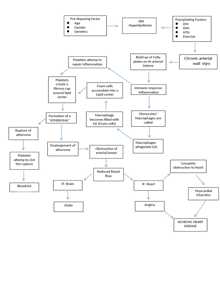 Pathophysiology Group A | PDF | Atheroma | Cardiovascular Diseases
