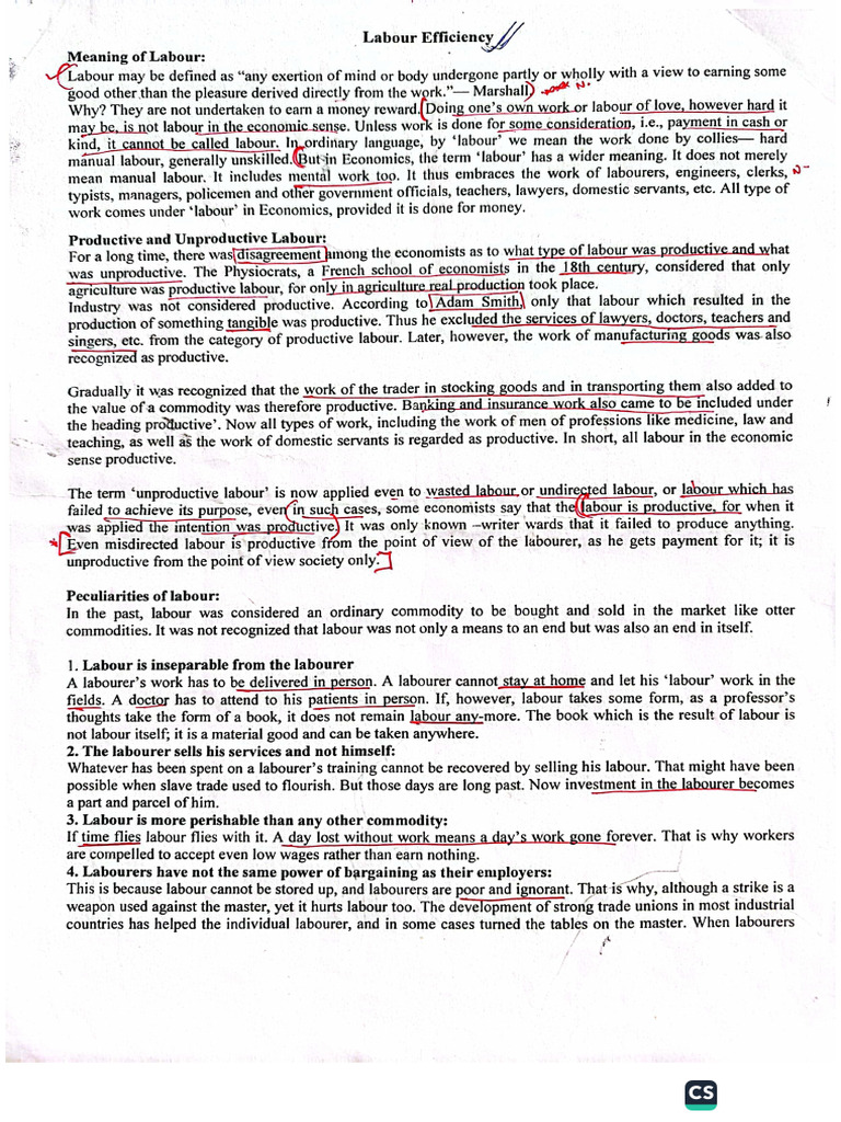 Labour Efficiency | PDF