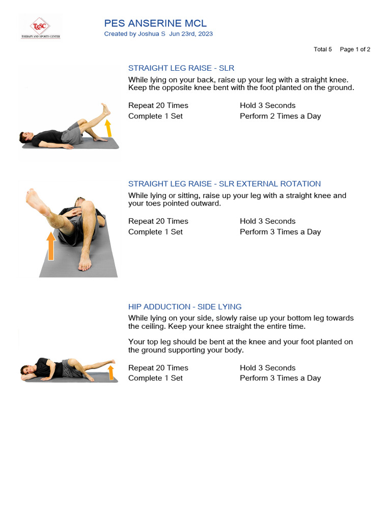 Pes Anserine MCL: Straight Leg Raise - SLR | PDF