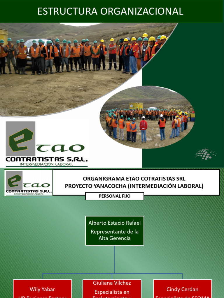02.-Estructura Organizacional ETAO | PDF