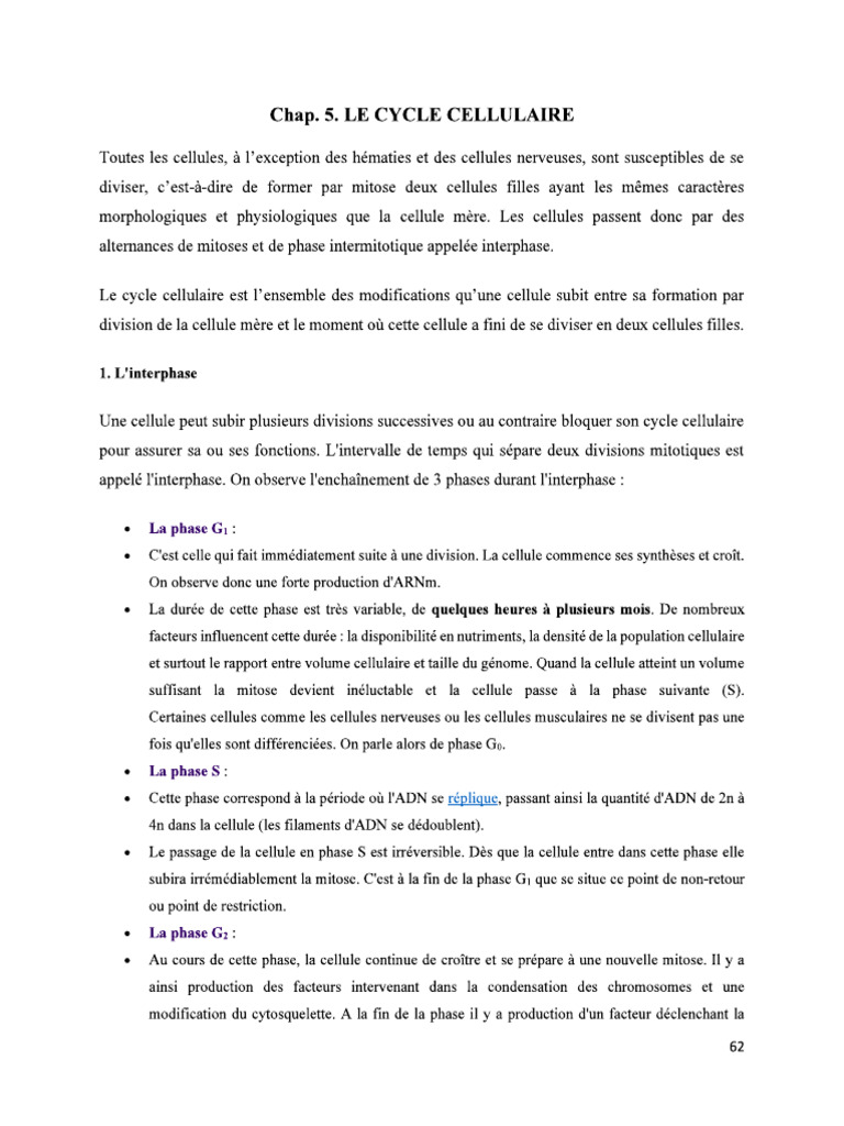 Chap. 5. Le Cycle Cellulaire | PDF