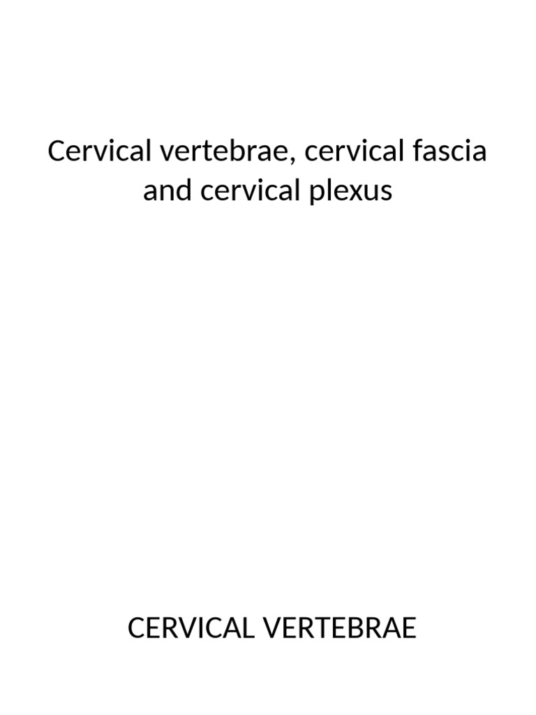 Cervical Vertebrae, Cervical Fascia and Cervical Plexsus | PDF ...