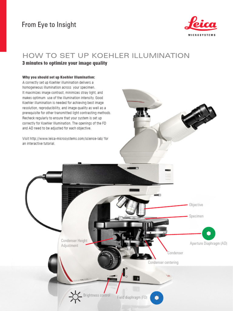 Leica DM1000-3000 Koehler-Flyer en | PDF | Vision | Optics