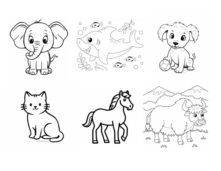 Draw Animal | PDF