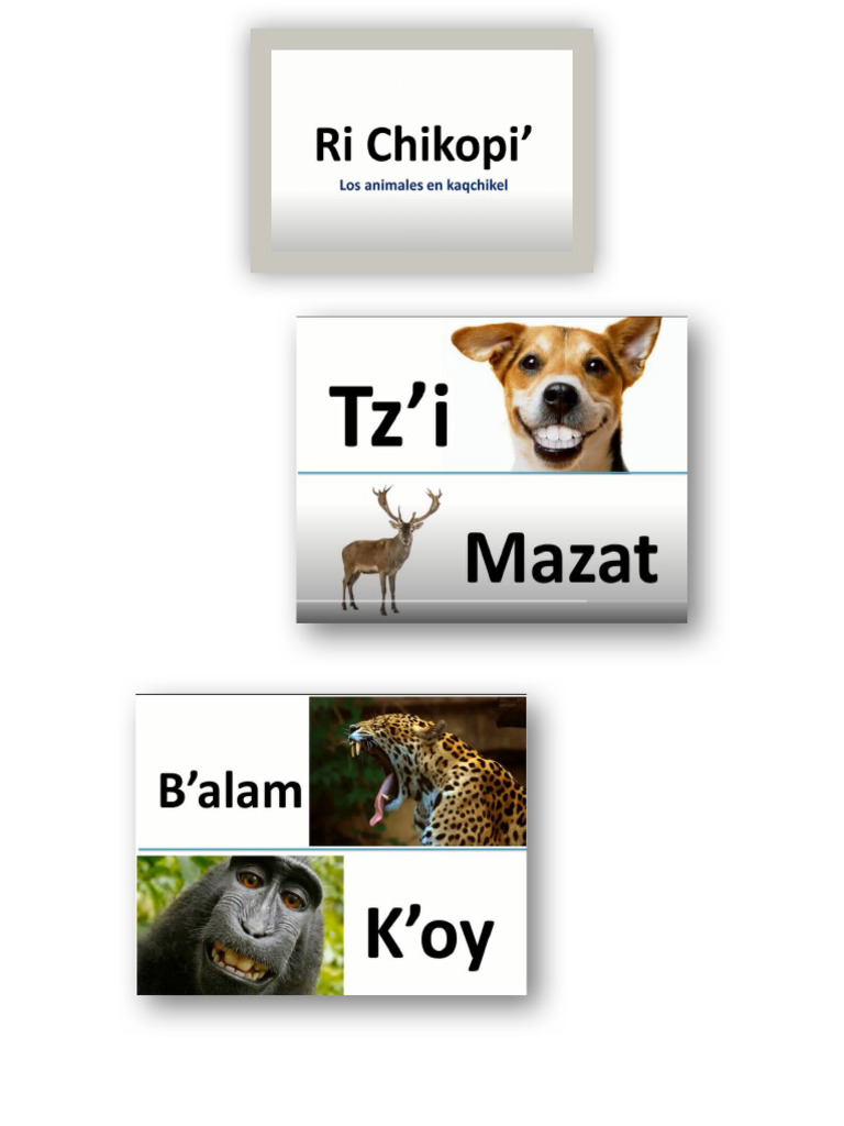 Ri Chikopi' | PDF
