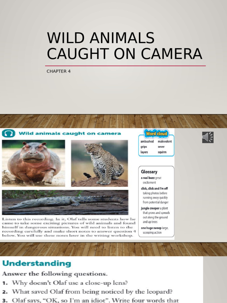 Wild Animals Caught On Camera | PDF