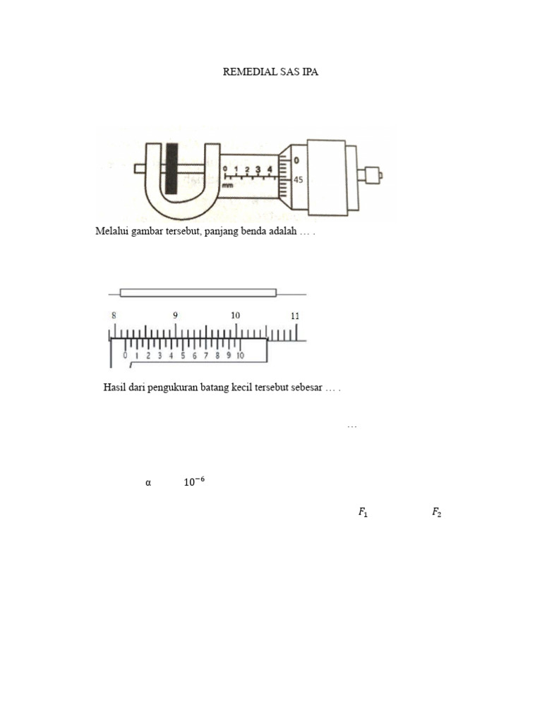 REMEDIAL SAS IPA 2024-2025 | PDF