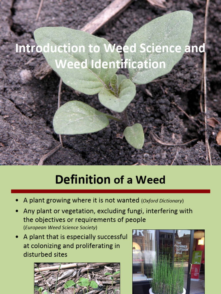 Introduction to Weed Science Basics | PDF | Seed | Weed