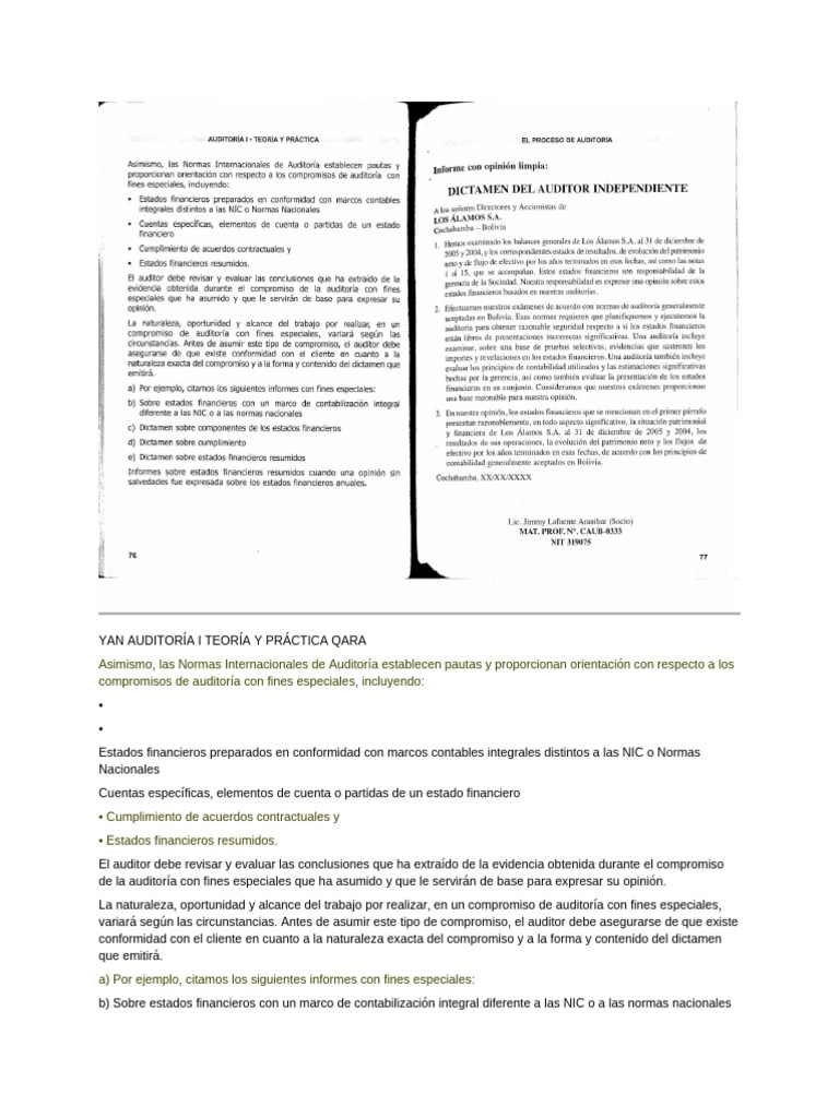 ESCANEADO AUDITORIA - Page-0034 | PDF | Auditoría | Estado financiero