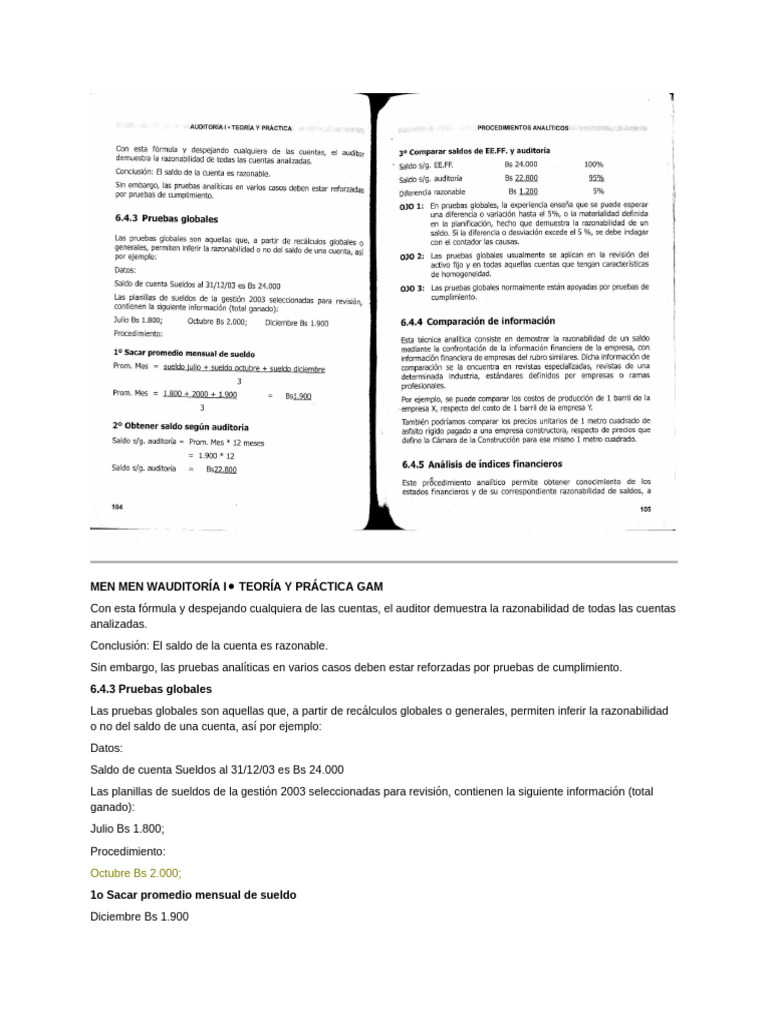 ESCANEADO AUDITORIA_page-0048 | PDF | Auditoría | Economias