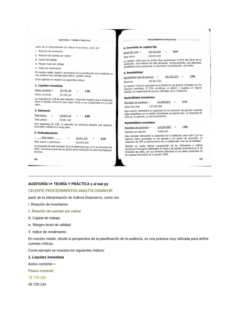 ESCANEADO AUDITORIA - Page-0049 | PDF | Capital de trabajo | Inversiones