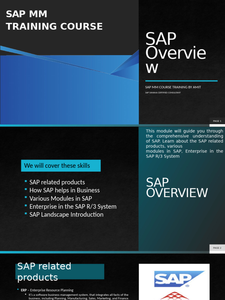 01 SAP Overview | PDF | Databases | Computer Science