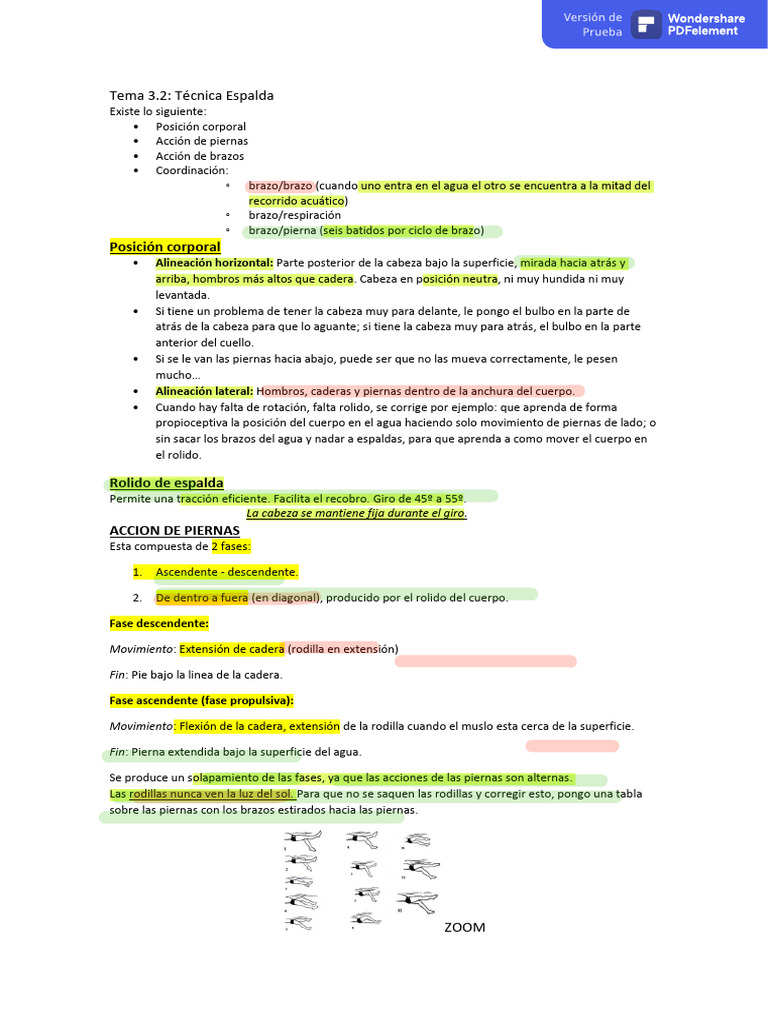 Tema 3.2 | PDF | Mano | Codo