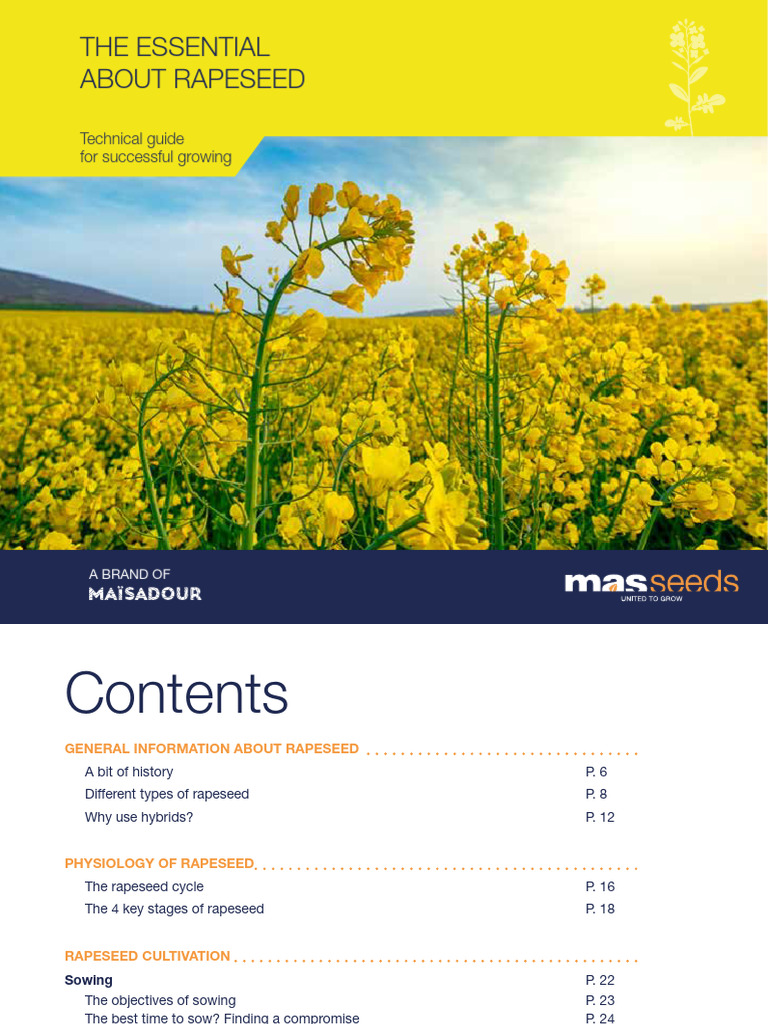 En Rapeseed Lv | PDF | Rapeseed | Legume