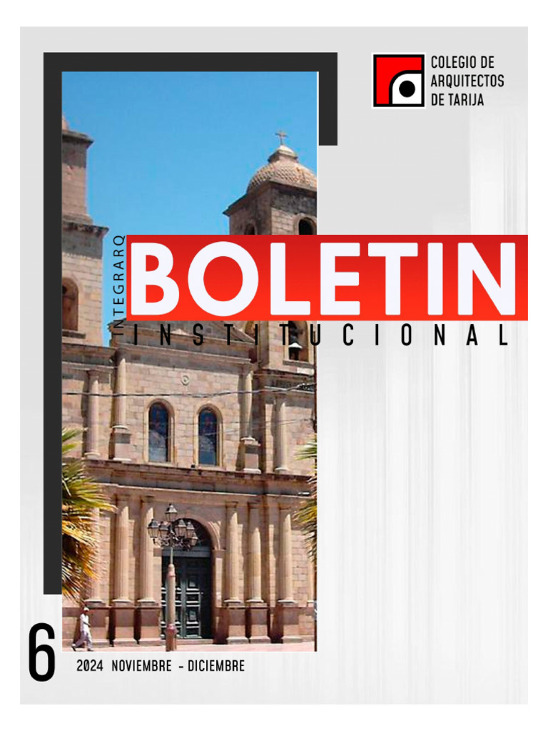 06 Boletin Informativo Cat - Noviembre Diciembre 2024 | PDF