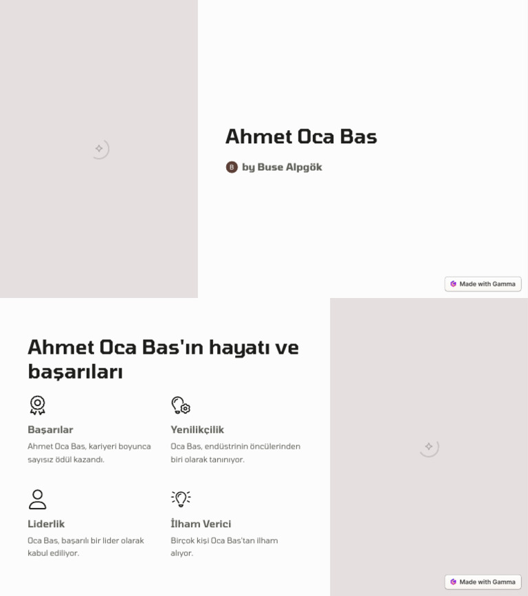 Ahmet Oca Bas | PDF