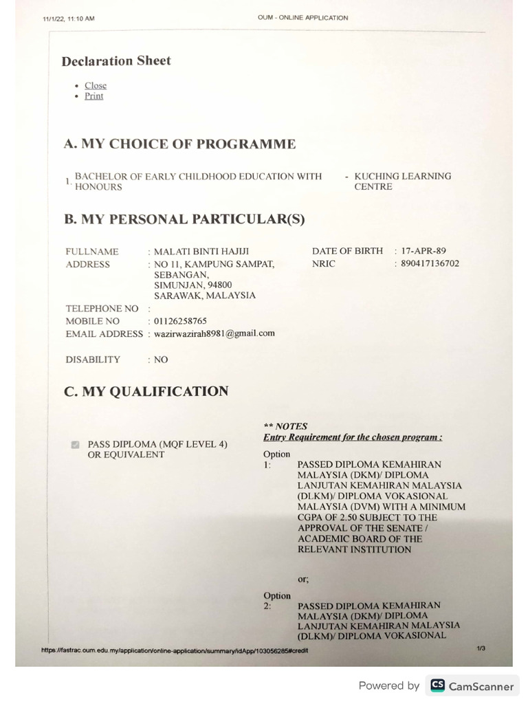 Decleration Sheet | PDF