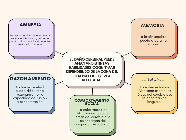 Mapa Mental Daño Cerebral Pdf