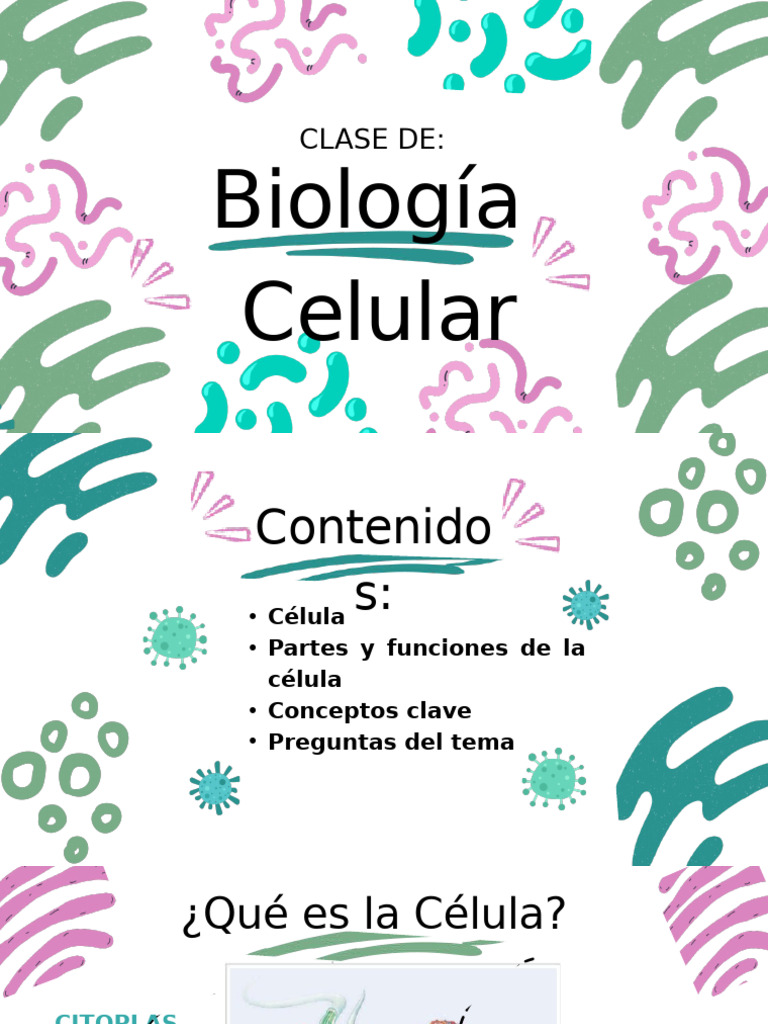 Clase de Biologia. Célula y Organulos | PDF | Membrana celular ...