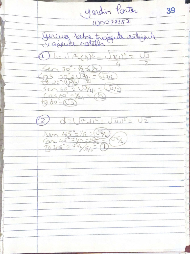 Semana Ix Alg y Geo para Ing Yerdin Portes - Compressed | PDF