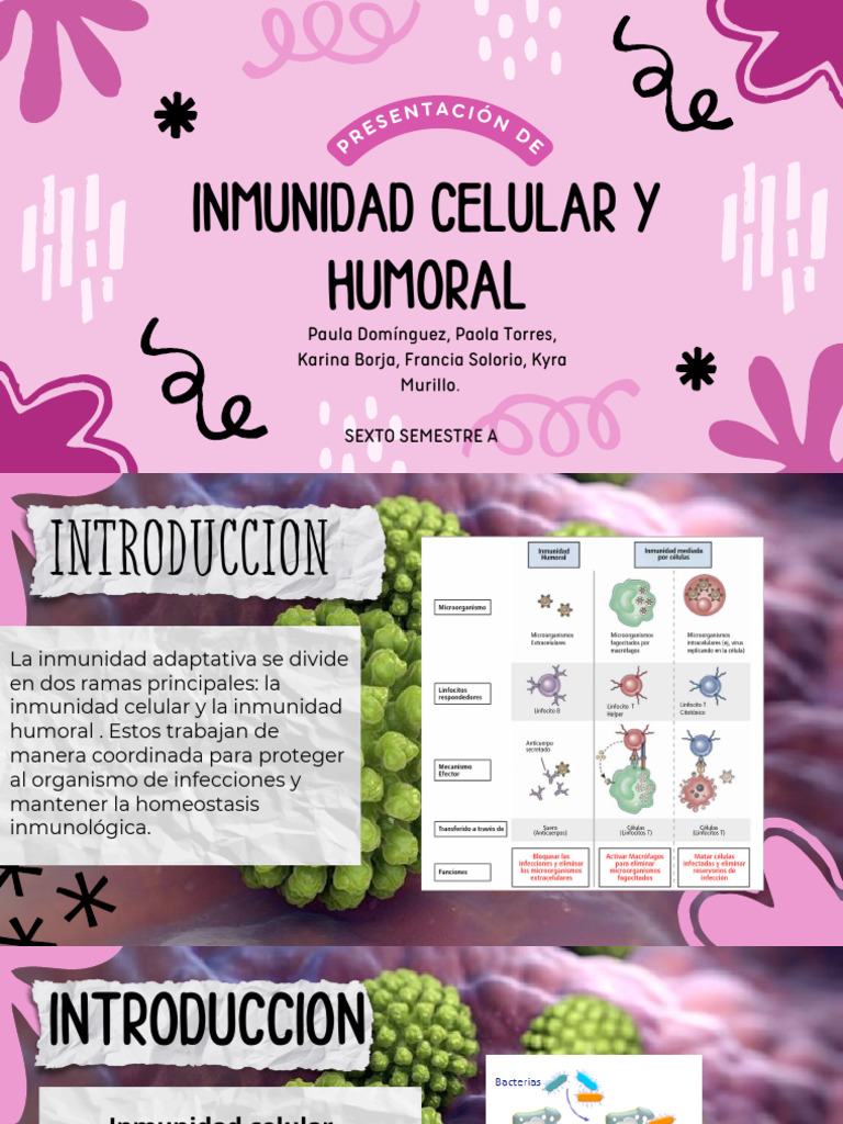 Inmunidad Celular y Humoral Explicada | PDF | Célula T | Sistema inmune