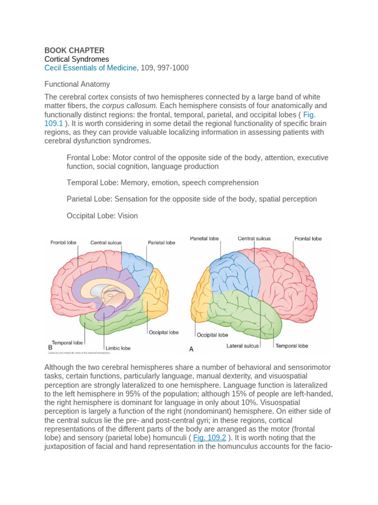 Book Chapter Cortical syndromes | PDF | Aphasia | Parietal Lobe