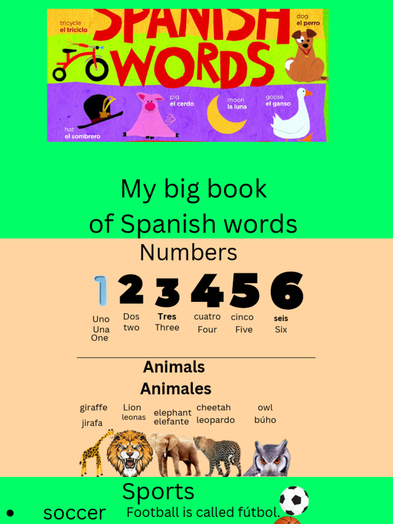 Big Book of Spanish Vocabulary | PDF